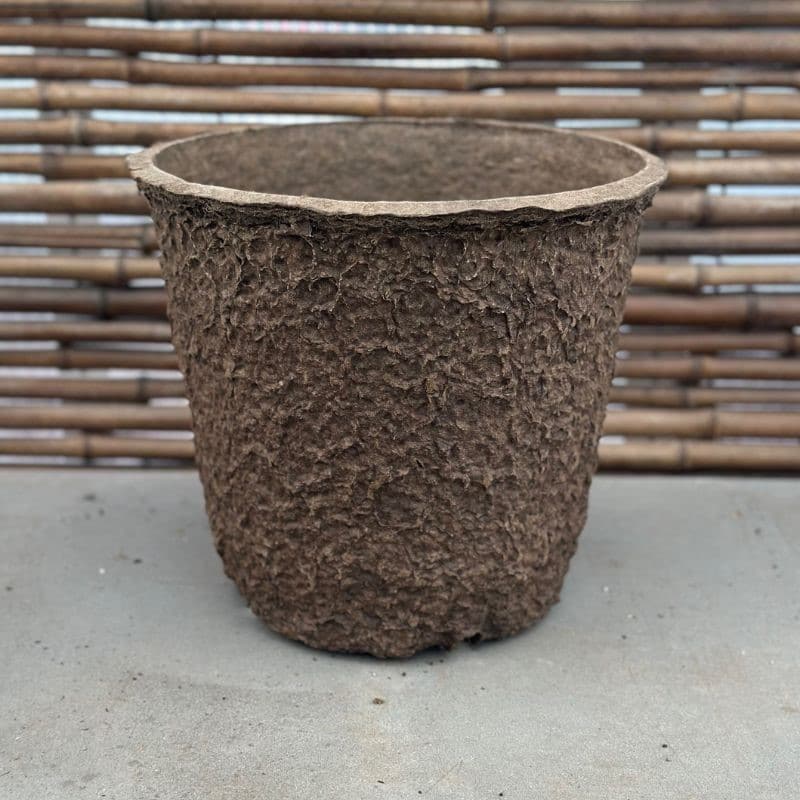Seasonal Container Subscription Medium - Lurvey Landscape Supply