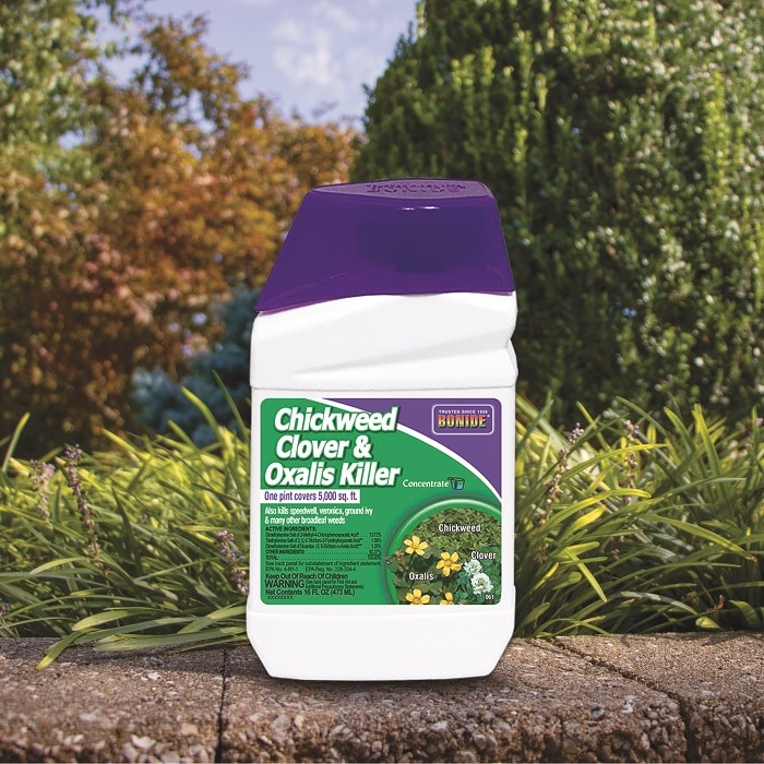 Bonide, Chickweed Clover/Oxalis Killer Concentrate - Lurvey Landscape ...