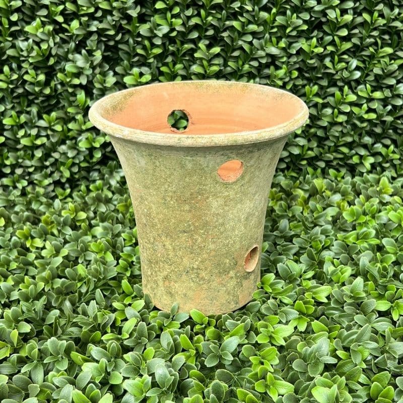 Campo De Fiori, Aged Orchid Planter, Sm - Lurvey