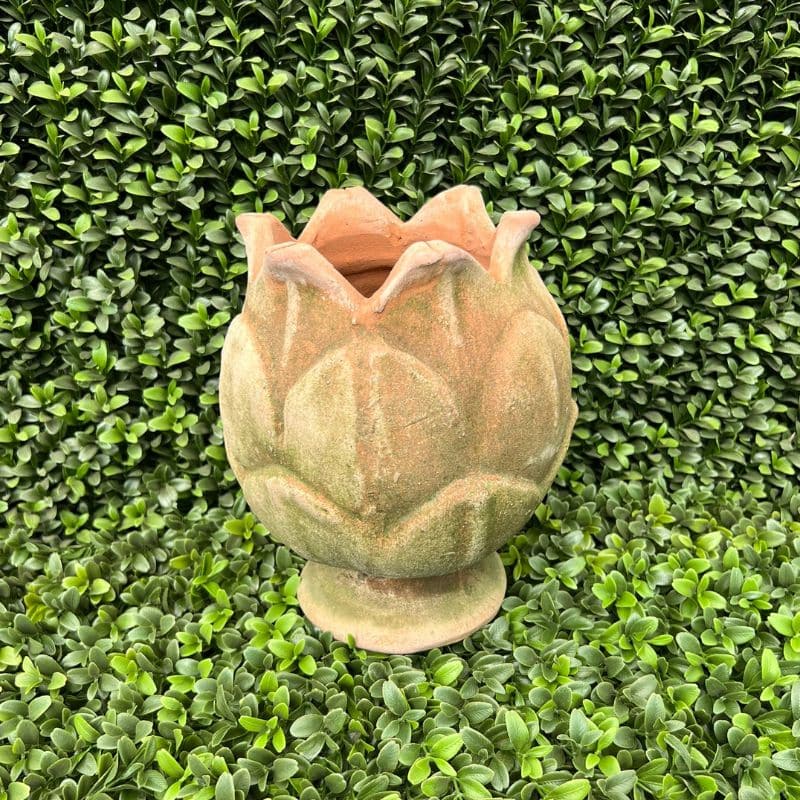 Artichoke Planter