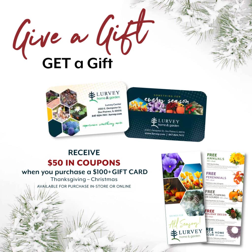 Gift Cards Archives - Lurvey Landscape Supply