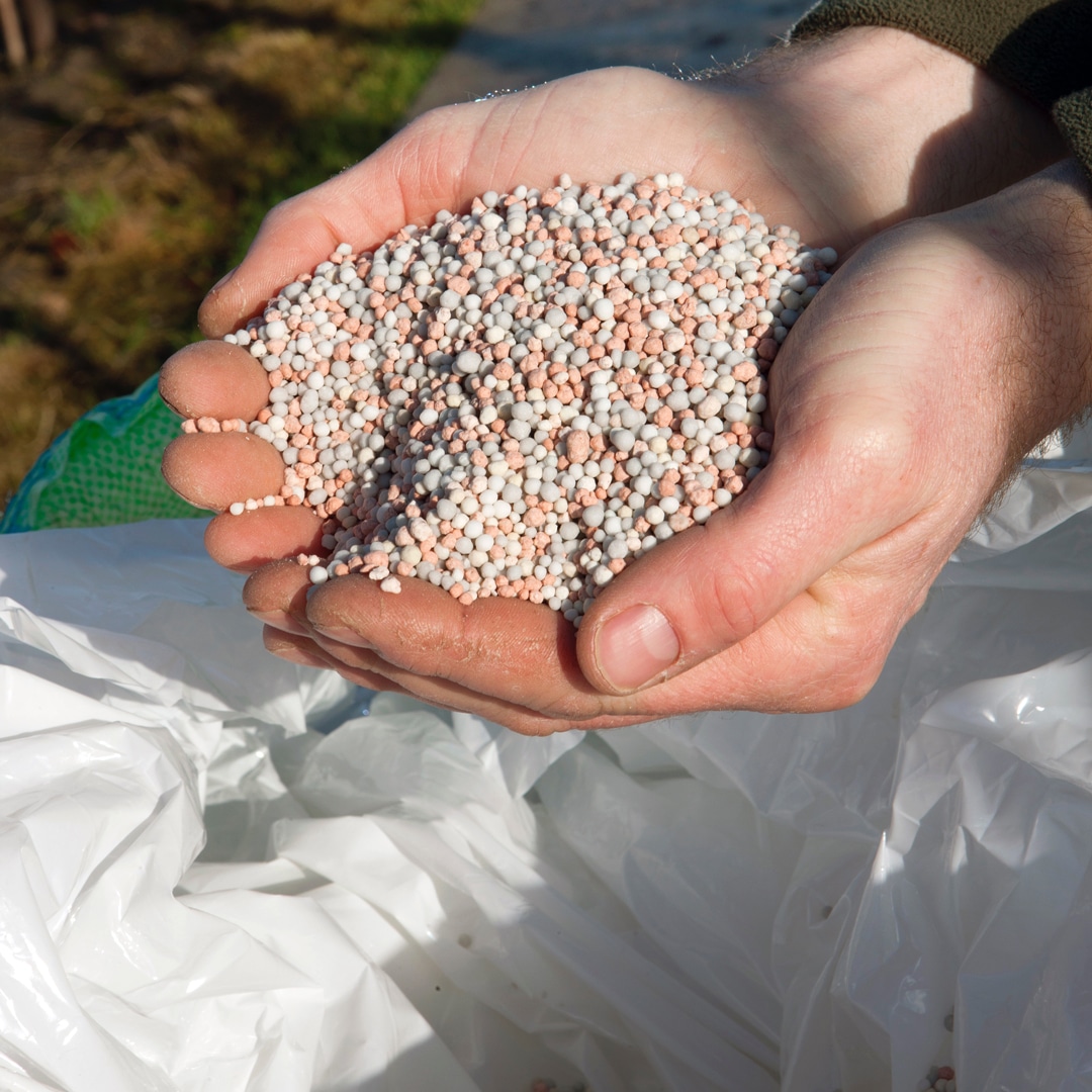 Year-Round Lawn & Garden Care: The Best Fertilizer Options - Lurvey ...
